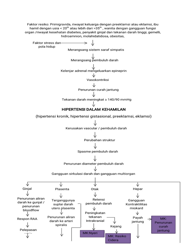 Pathway Hipertensi Dalam Kehamilan | PDF