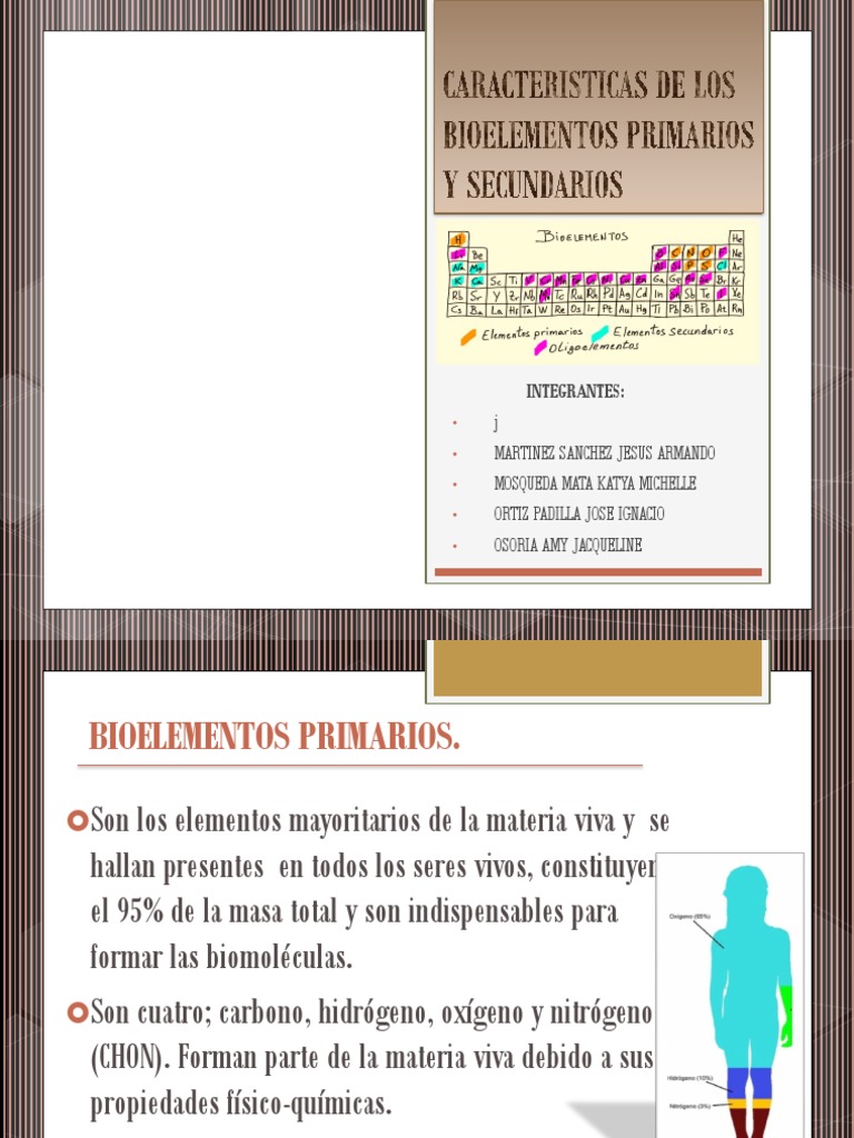 Bioelementos Primarios y Secundarios | PDF | Organismos | Sodio