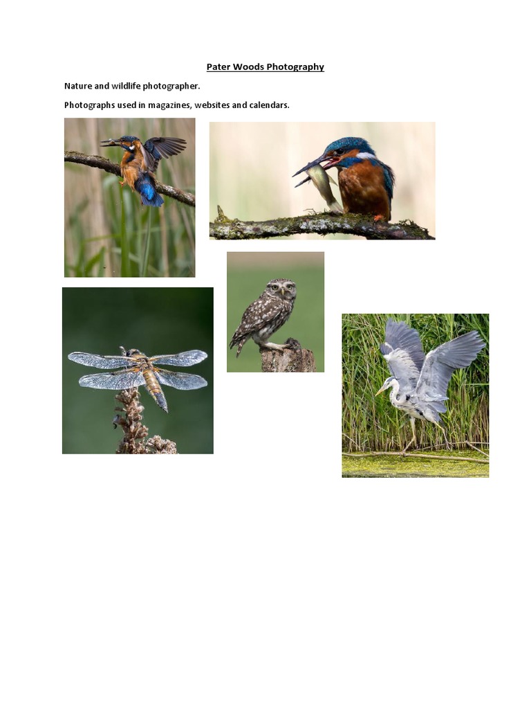 Nature & Wildlife Photography Services | PDF