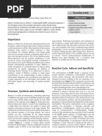 Virtual Microscope by BIONETWORK: Name: - Date | PDF | Microscope ...