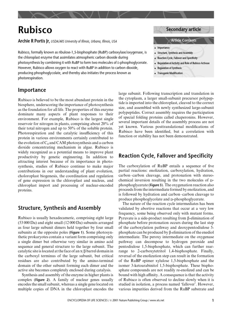 Rubisco PDF | PDF | Photosynthesis | Active Site