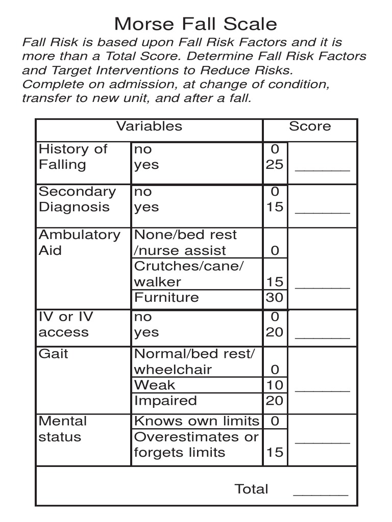 Morse Fall Risk Assessment Guide | PDF