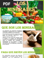 Alimentos Que Contienen Los Bioelementos Primarios | PDF | Calcio | Potasio