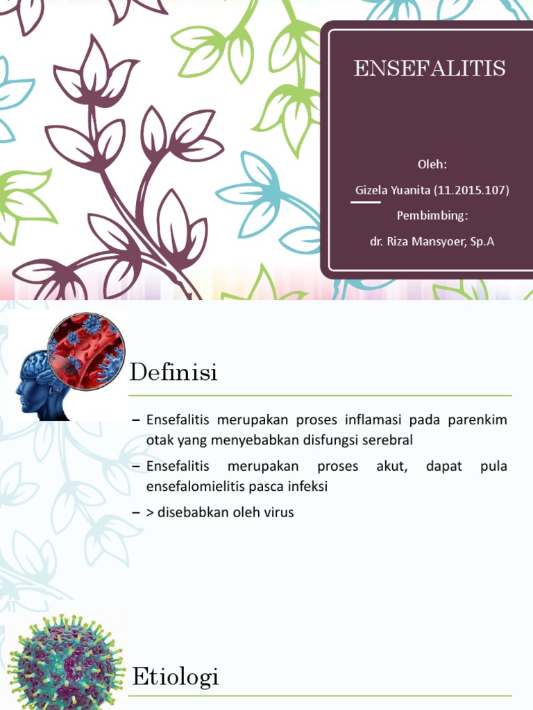 Ensefalitis Gisel | PDF