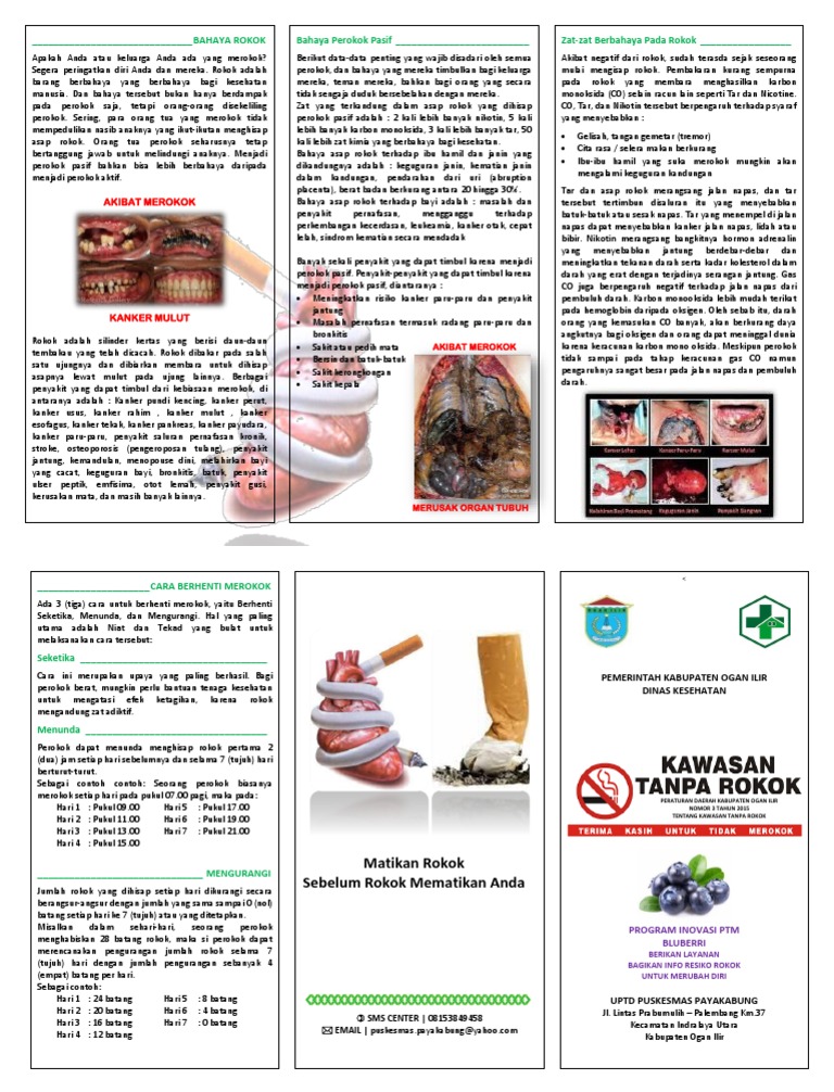 Brosur Dampak Merokok | PDF