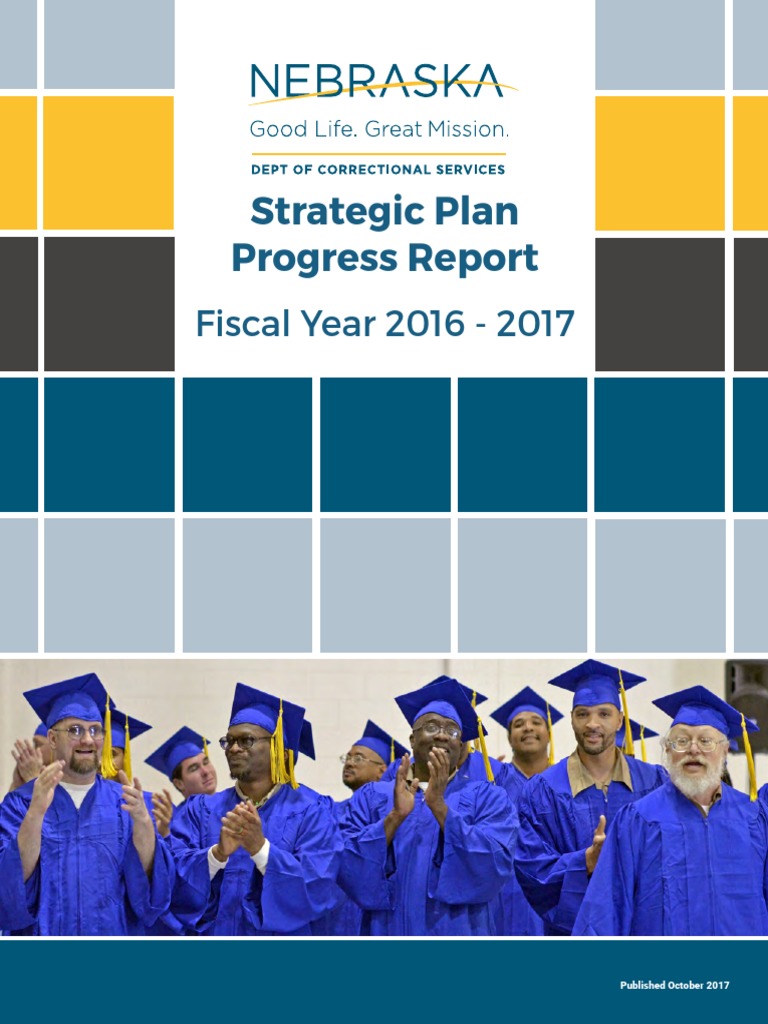 Strategic Plan Progress Report: Fiscal Year 2016 - 2017 | PDF ...