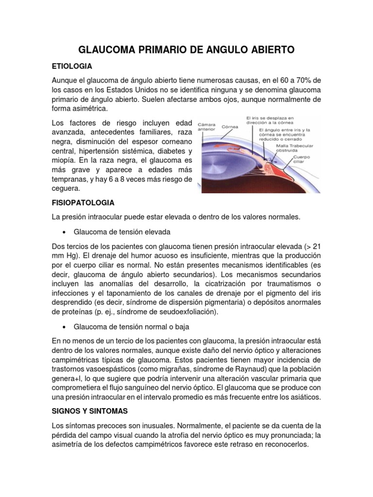 Glaucoma Primario de Angulo Abierto Resumen | Descargar gratis PDF | Glaucoma | Medicina CLINICA