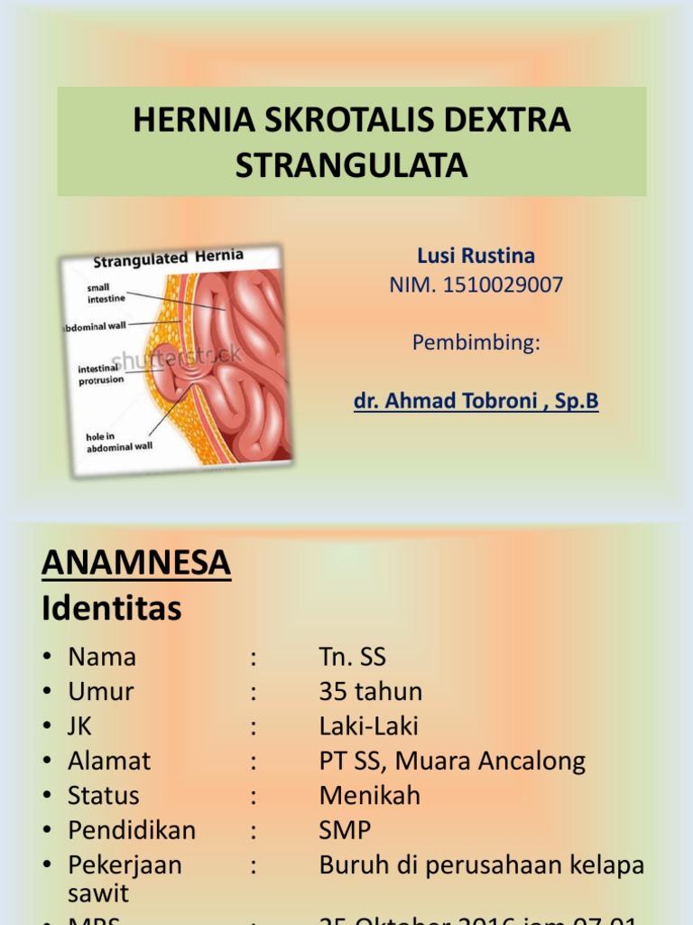 Hernia Skrotalis Dextra Strangulata | PDF