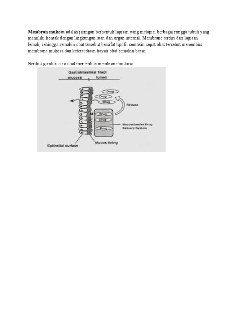 Membran Mukosa | PDF