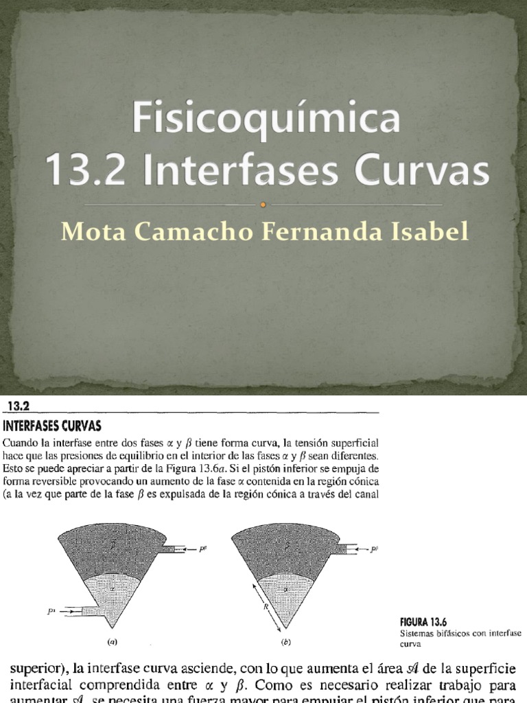 Mota Camacho: Fernanda Isabel | PDF