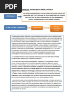 Fármacos Nefrotóxicos y su Manejo | PDF | Tratamientos médicos | Medicina