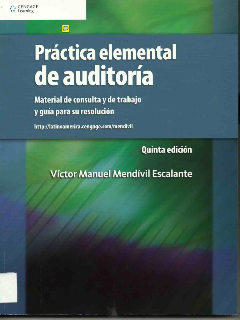 Libro de Auditoria | PDF