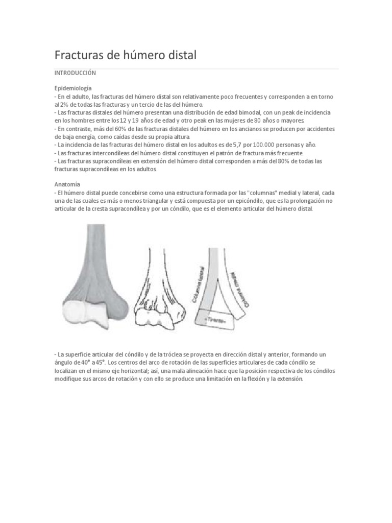 Fracturas de Húmero Distal | PDF | Codo | Lesión