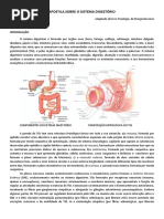 Fisiologia Geral Do TGI | PDF | Trato gastrointestinal | Especialidades ...