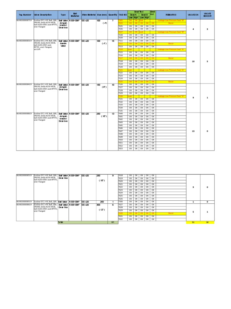 Internal Report Hydrotest Valve KSB | PDF | Leak | Valve