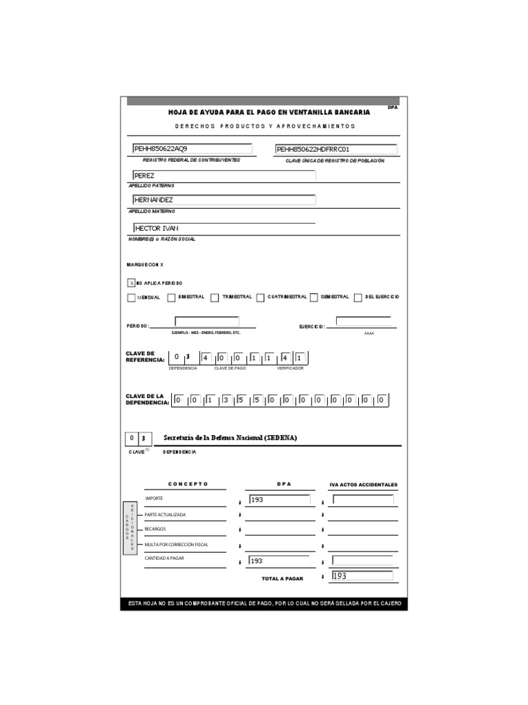 E5CINCO Formato Opcion 1 | PDF