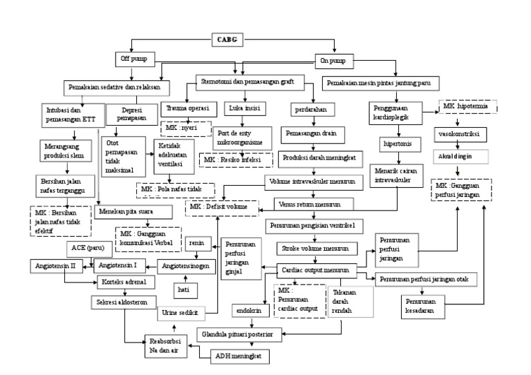 Post Op Patoflow CABG | PDF