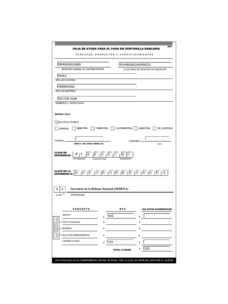 FORMATO E5CINCO Opcion1 | PDF