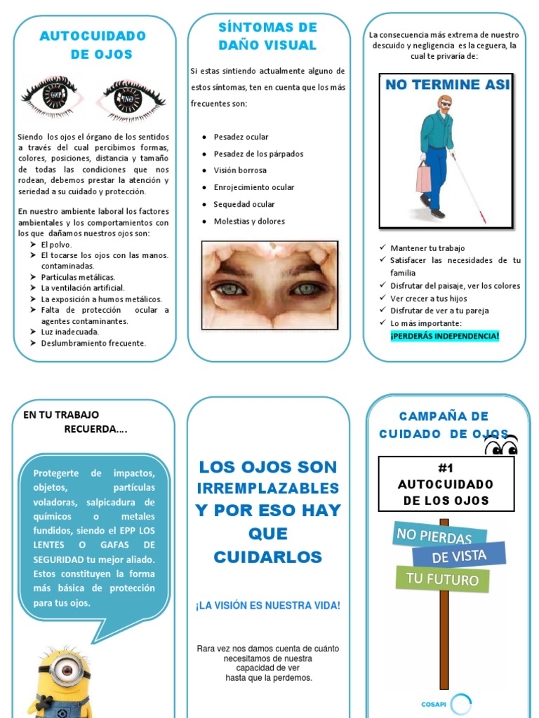 Triptico Autocuidado de Ojos | Percepción visual | Ojo