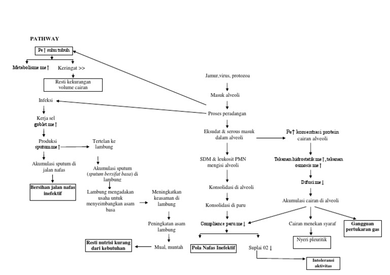 Pathway Pneumonia | PDF