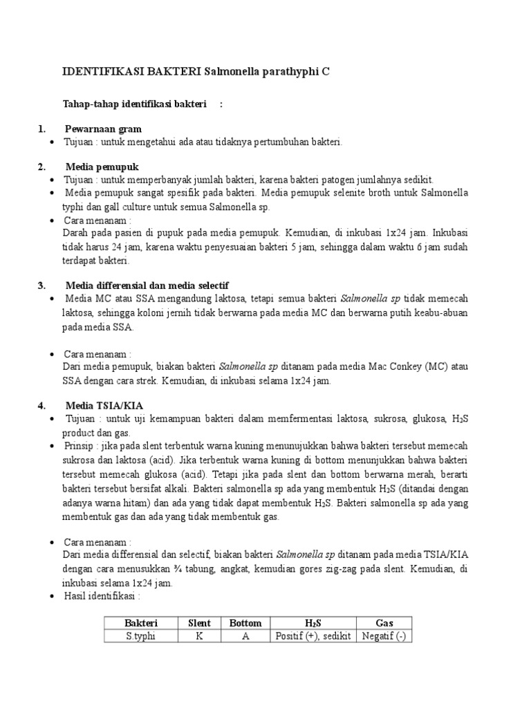 Identifikasi Salmonella Paratyphi C | PDF