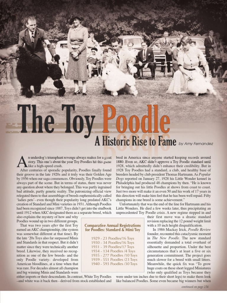 The Toy Poodle - A Historic Rise To Fame | PDF | Toy Dogs | Poodle