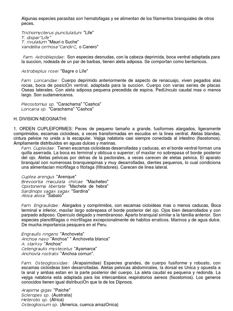 Especies de Peces y sus Características | PDF | Atún | Vertebrados ...