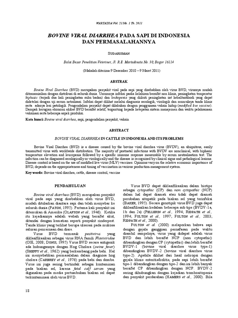 BVD (Epidem, Gejala Klinis Dan Pencegahan) | PDF