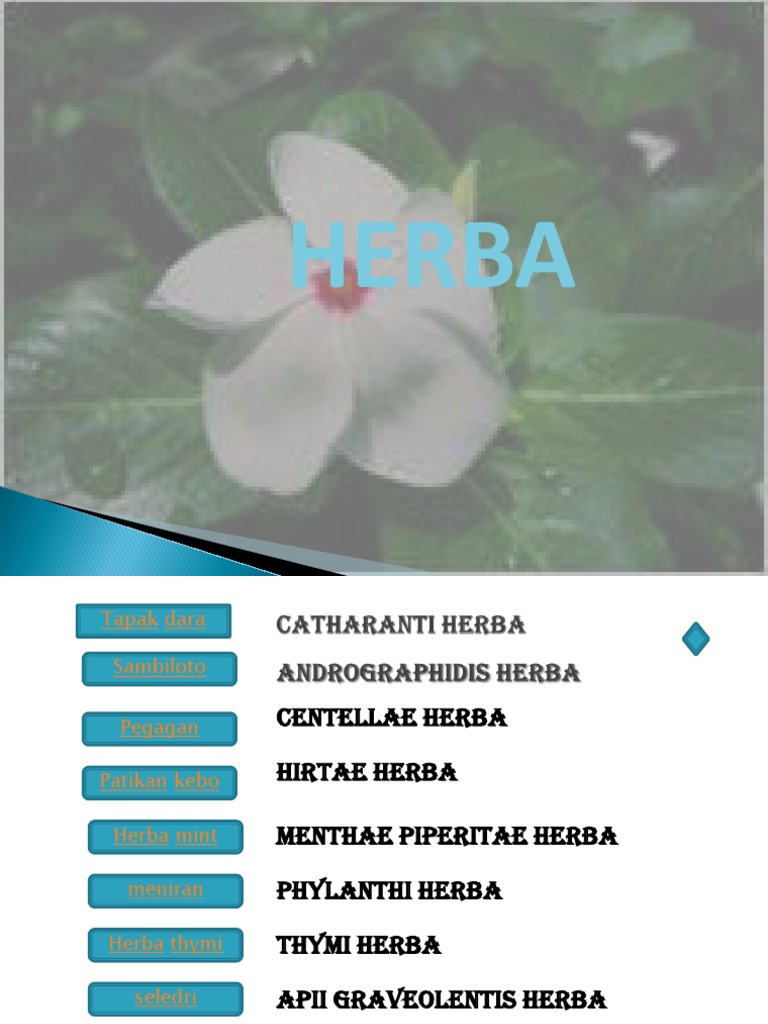 Farmakognosi 2017 Herba | PDF