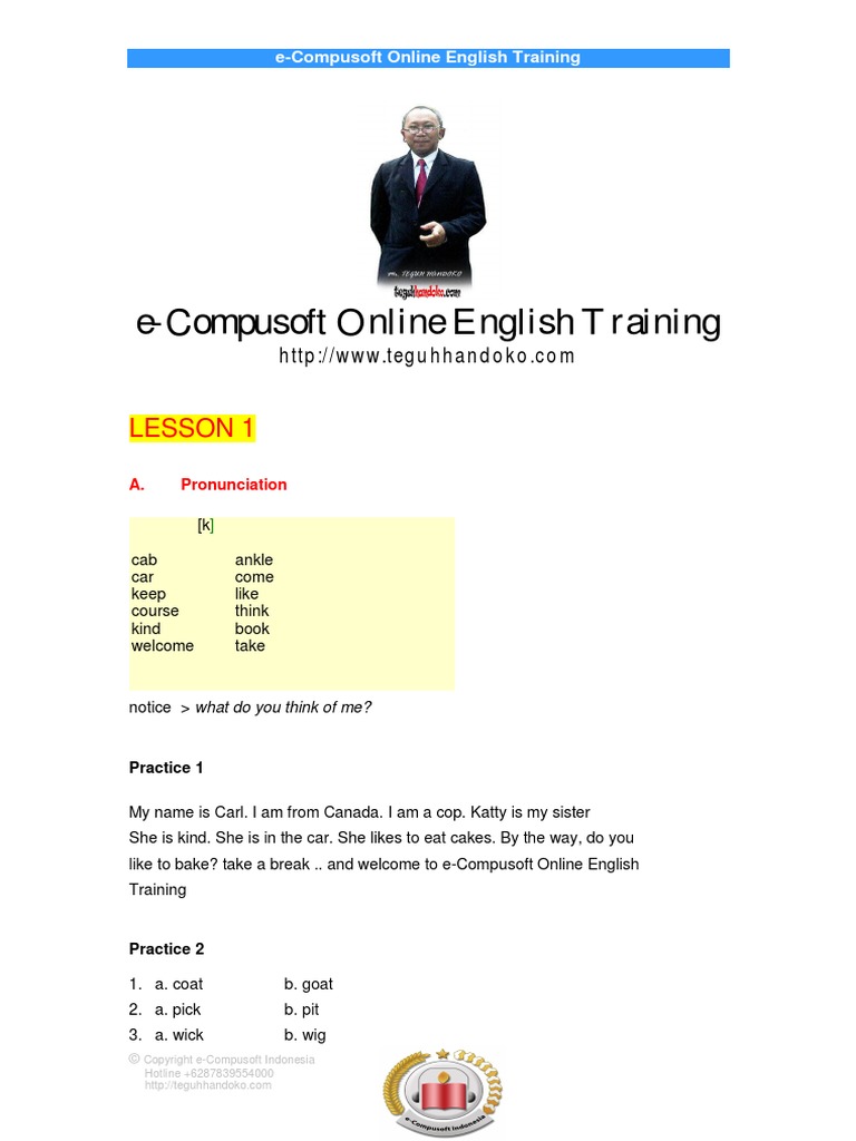 E-Compusoft Online English Training: Lesson 1 | PDF