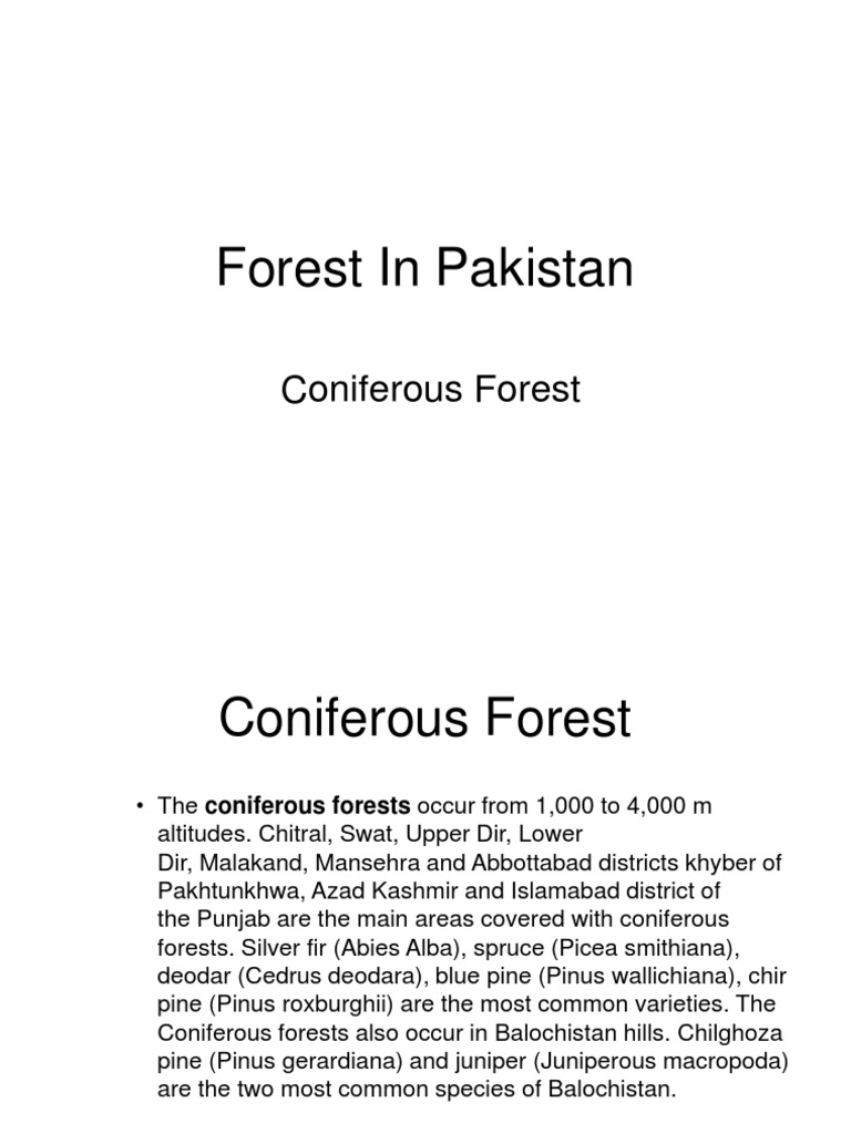 Pakistan's Diverse Forest Types | PDF | Khyber Pakhtunkhwa | Pakistan
