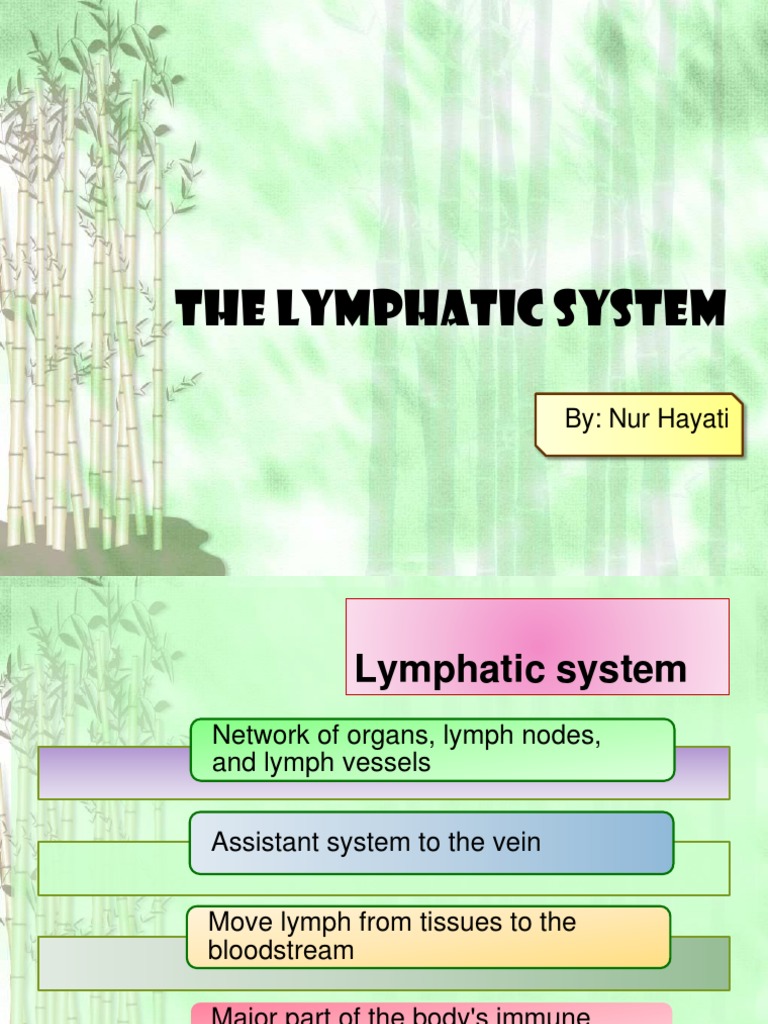 The Role of the Lymphatic System in Immune Defense and Fluid ...