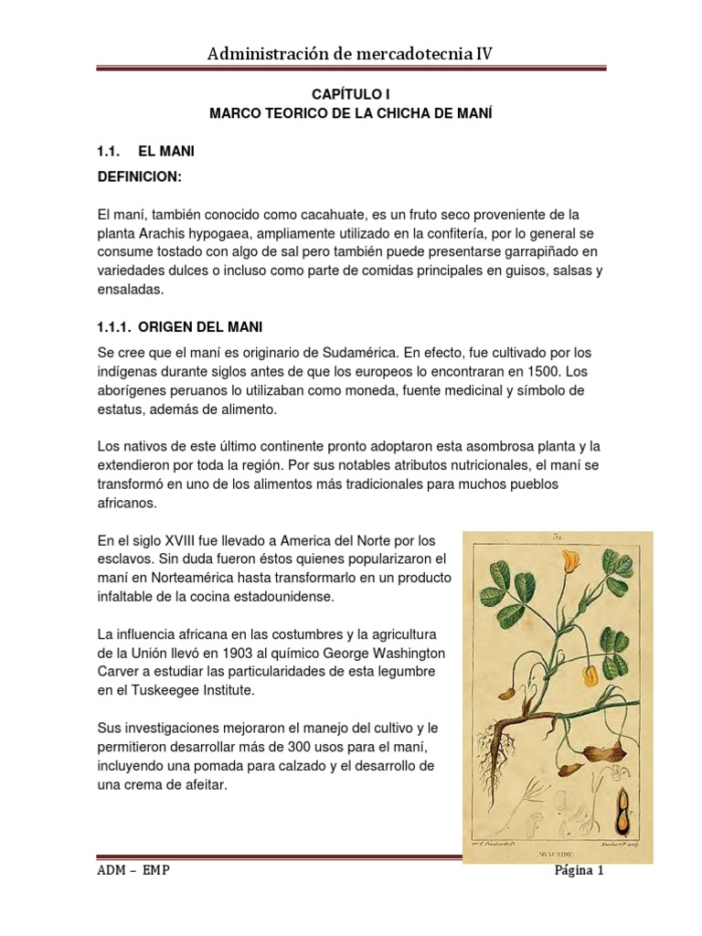 Chicha de Maní: Origen y Beneficios | PDF | Miseria | Exportaciones