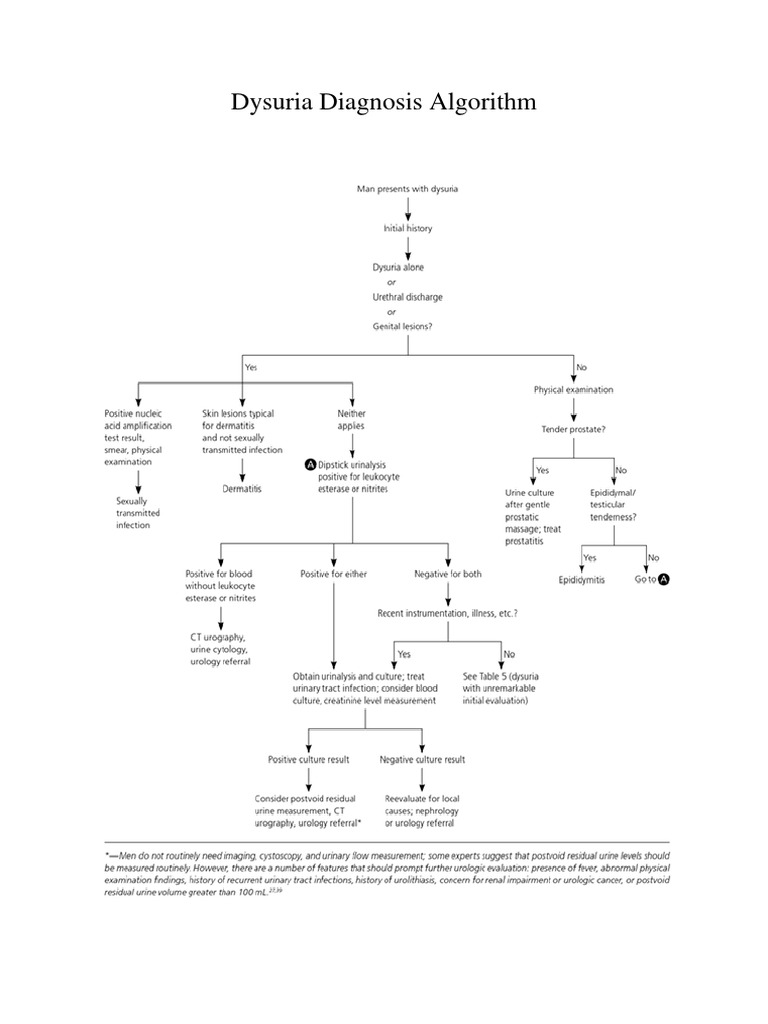 Dysuria Diagnosis Algorithm | PDF