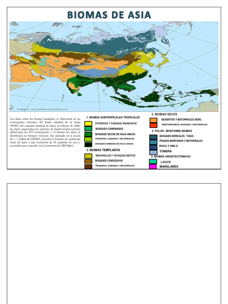 Biomas de Asia y su diversidad | PDF | Ciencia y matemáticas