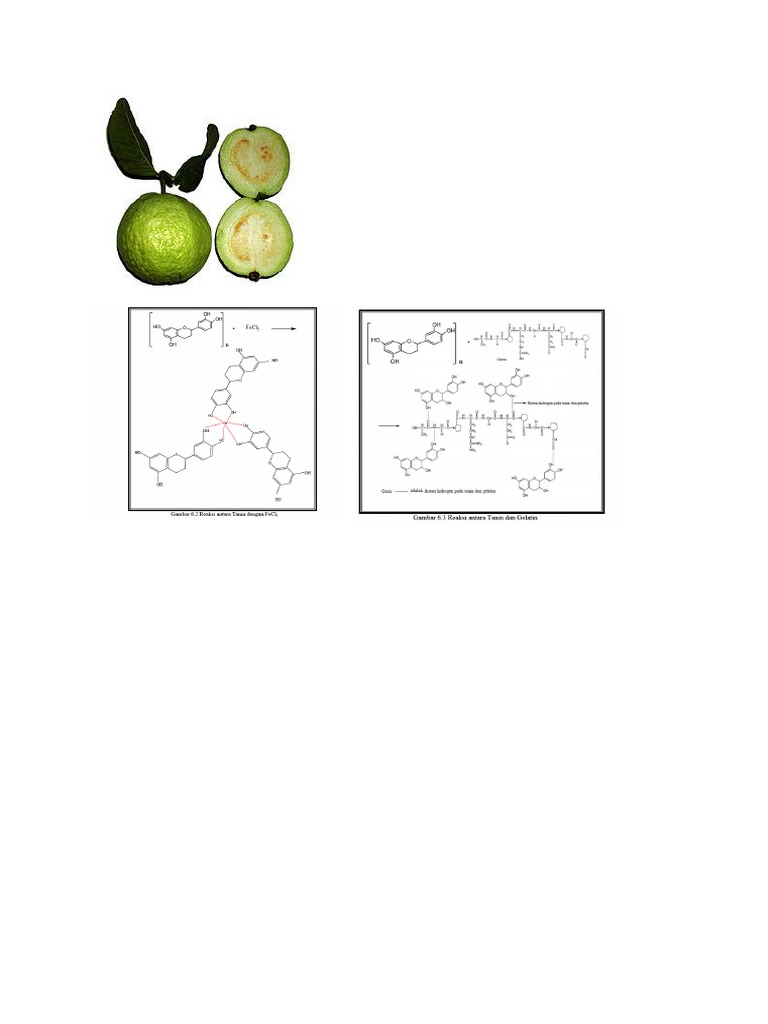 Gambar Reaksi Tanin Gelatin Fecl3 | PDF