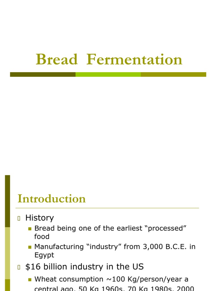 Bread Fermentation | PDF | Sourdough | Breads