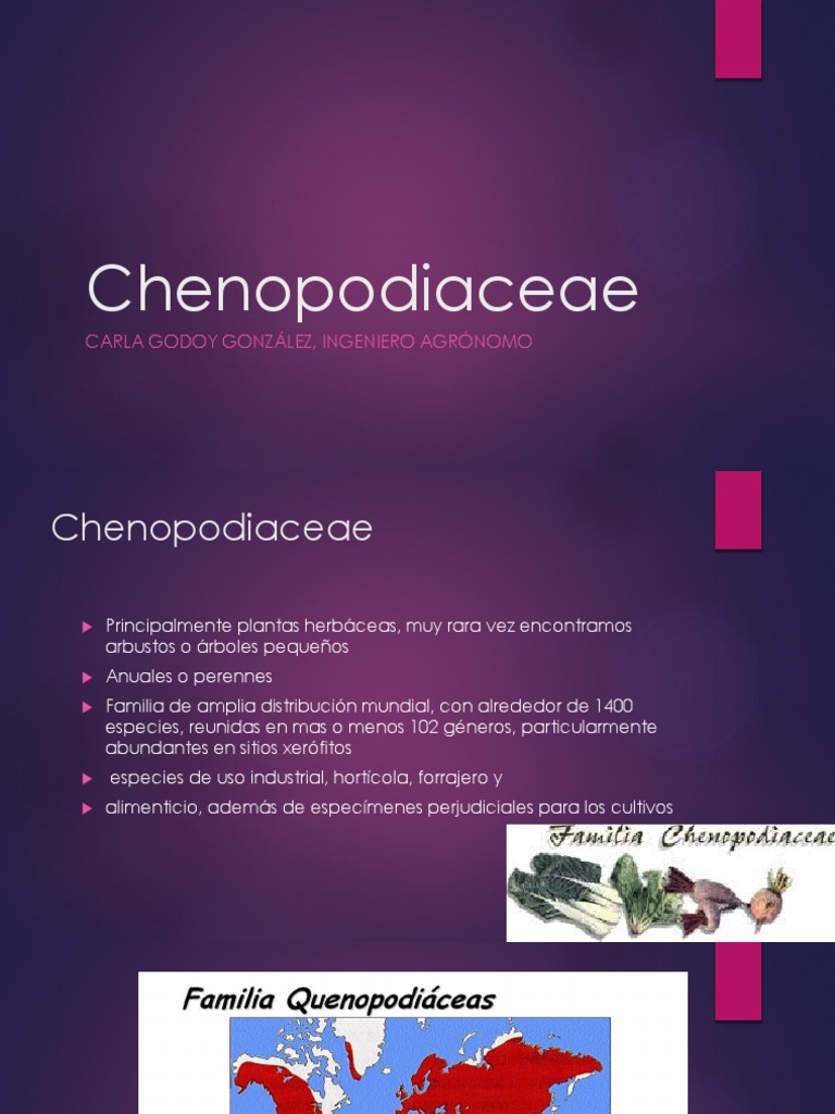 Ejemplos de la familia Chenopodiaceae | PDF