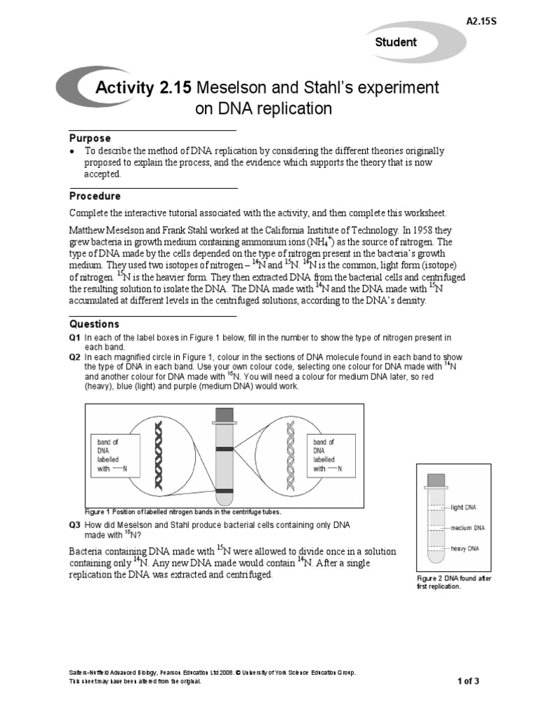 Meselson and Stahl's Experiment | PDF | Dna Replication | Dna