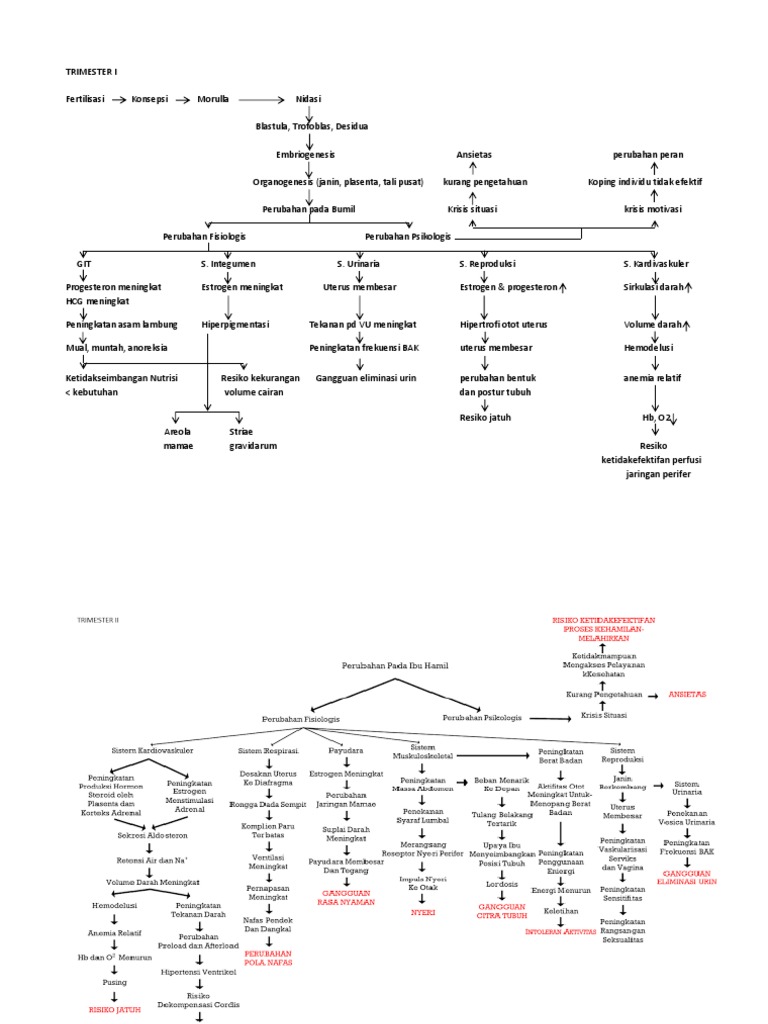 Pathway Kehamilan Trimester I | PDF