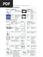 Tipo de Matraz | PDF