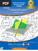Álgebra Lineal - Larson | PDF