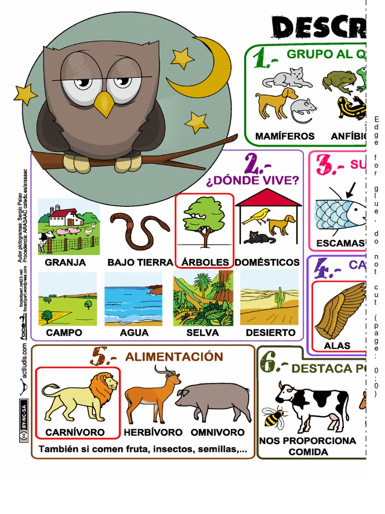 Describir Animales 2x1 | PDF