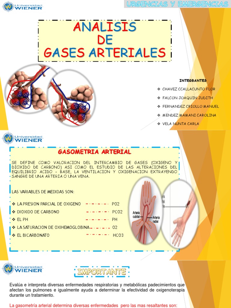 Gasometria Arterial | PDF | Fisiología | Medicina