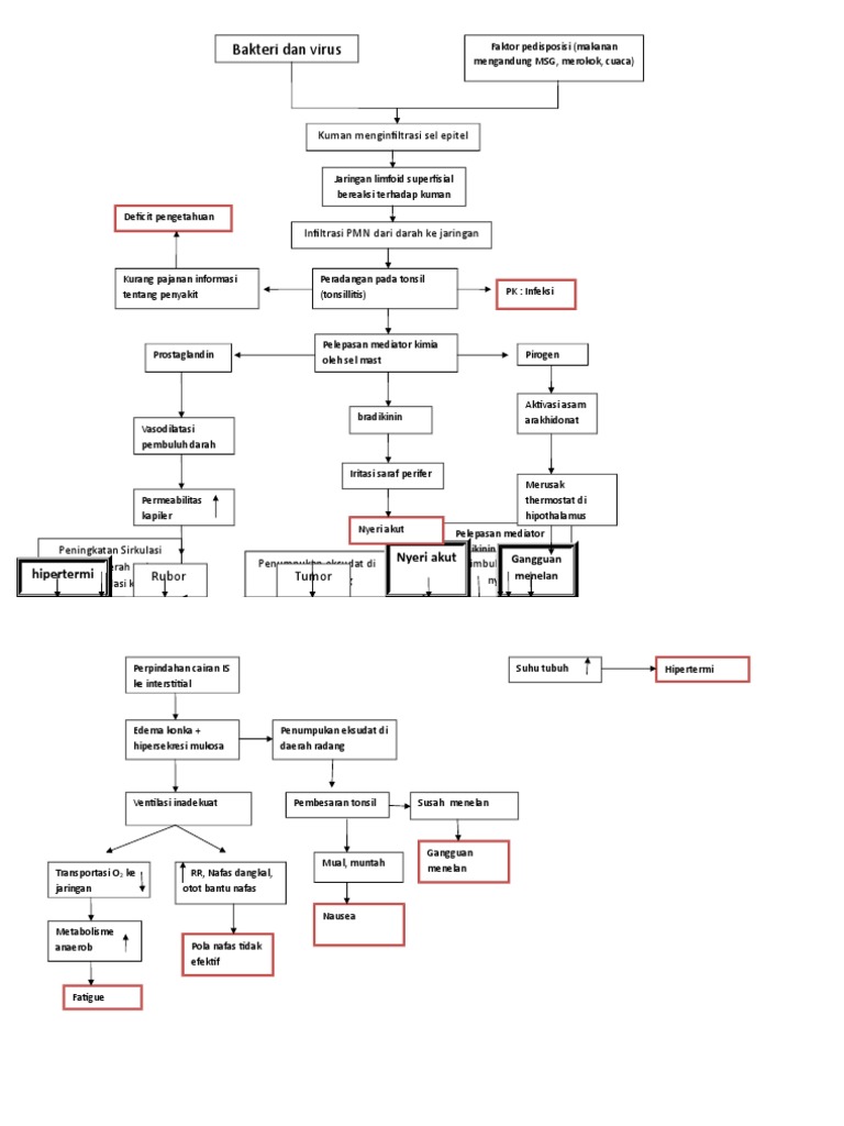 Documents - Tips Pathway-Tonsilitis | PDF