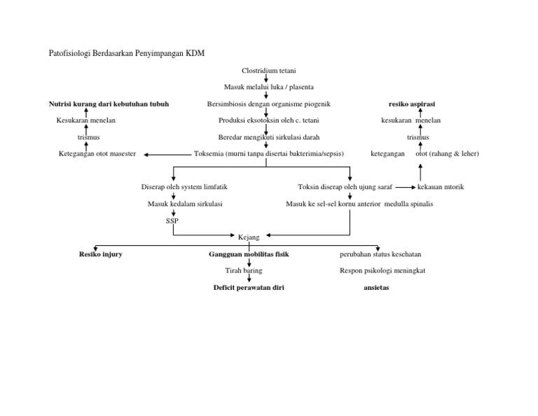 Patofisiologi Tetanus | PDF