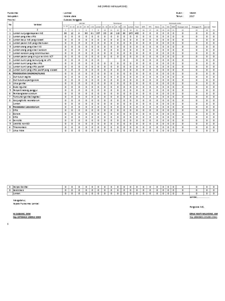 Format Laporan IMS | PDF