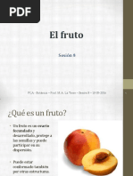 Morfología de Frutos: Silicua y Cipsela | PDF | Fruta | Morfología Vegetal