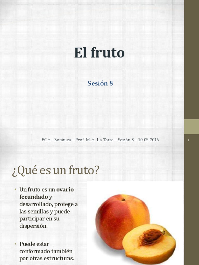 Tipos y Estructura de Frutos Botánicos | PDF | Reproducción de plantas ...