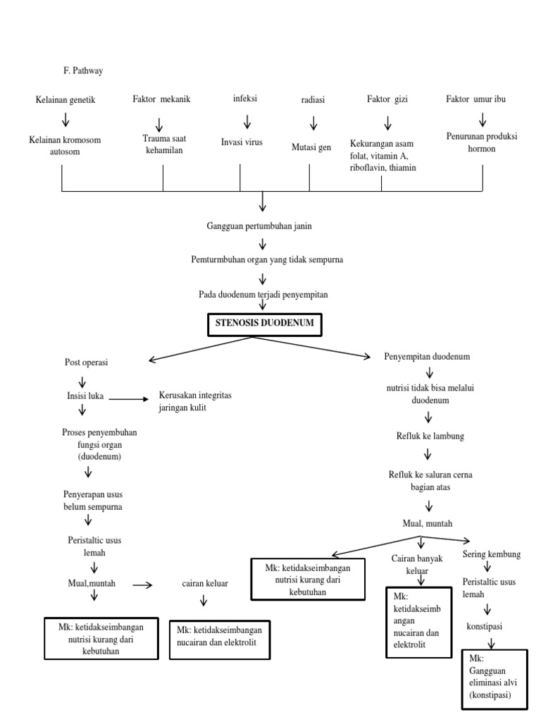 Pathway Stenosis Duodenum | PDF